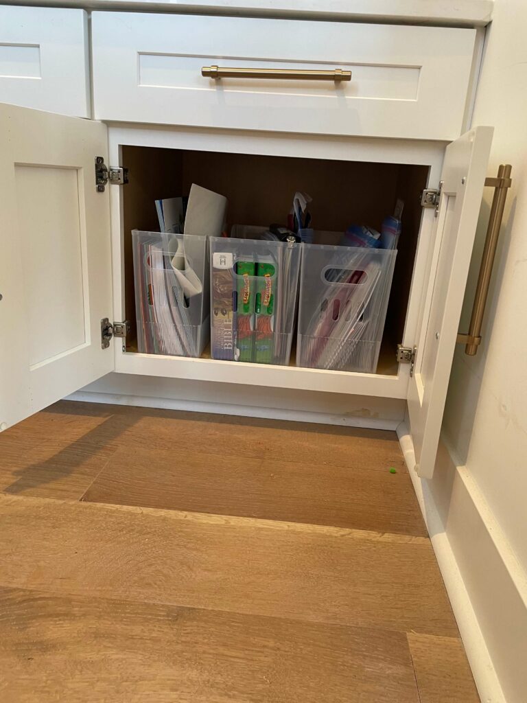 Multi-purpose Bin Review - Get Organized HQ