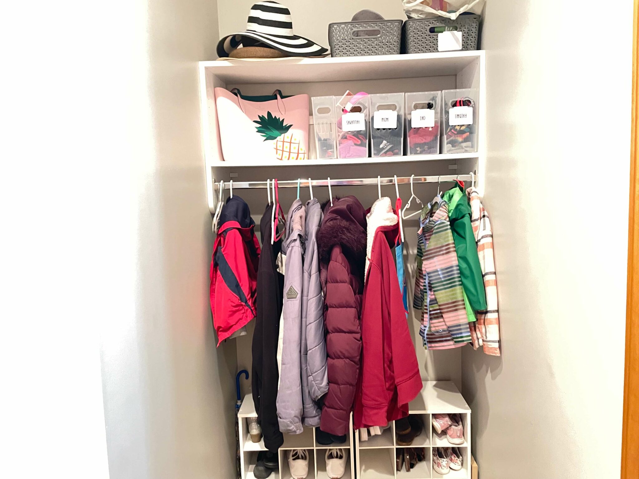 Multi-purpose Bin Review - Get Organized HQ