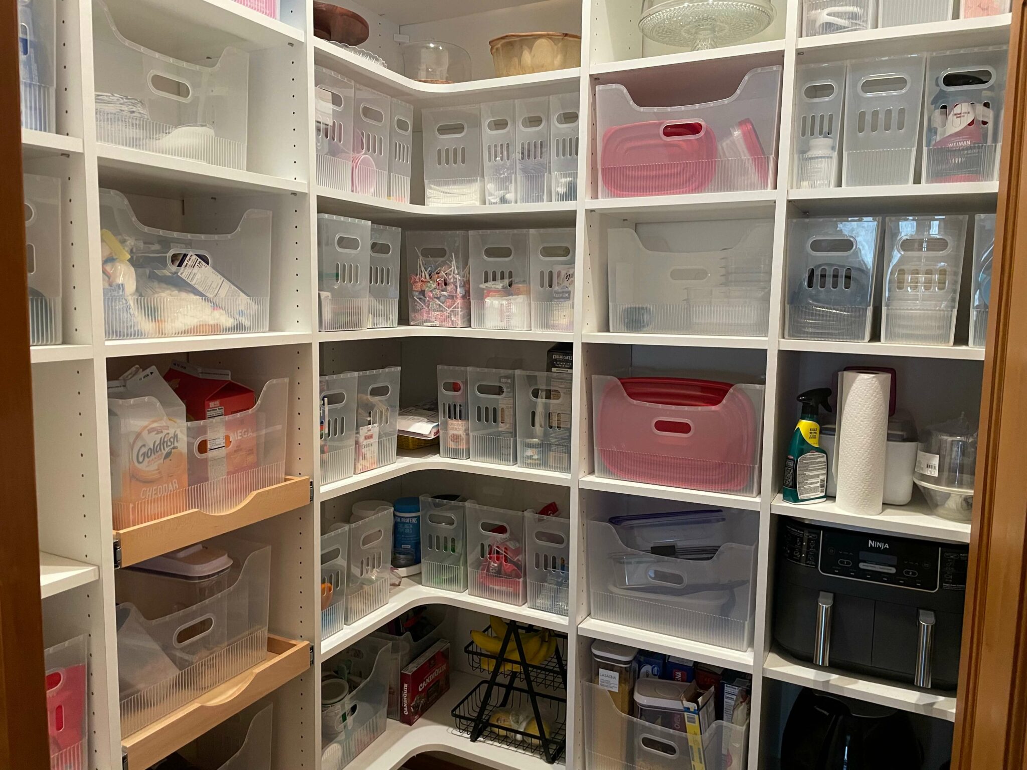 Multi-purpose Bin Review - Get Organized HQ