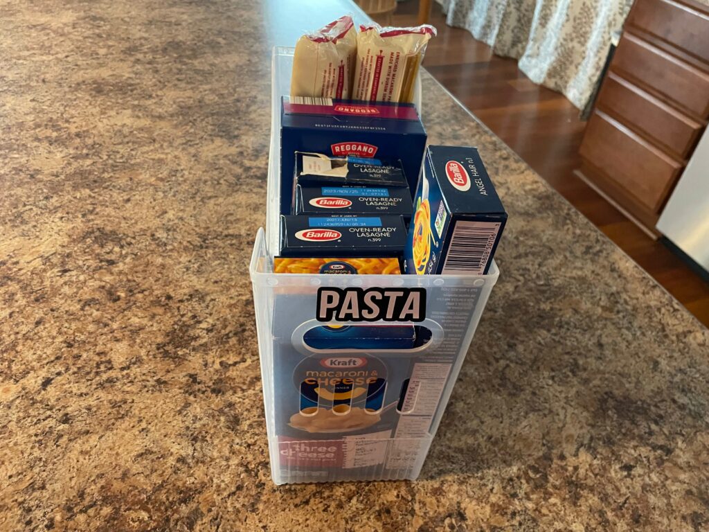 Multi-purpose Bin Review - Get Organized HQ